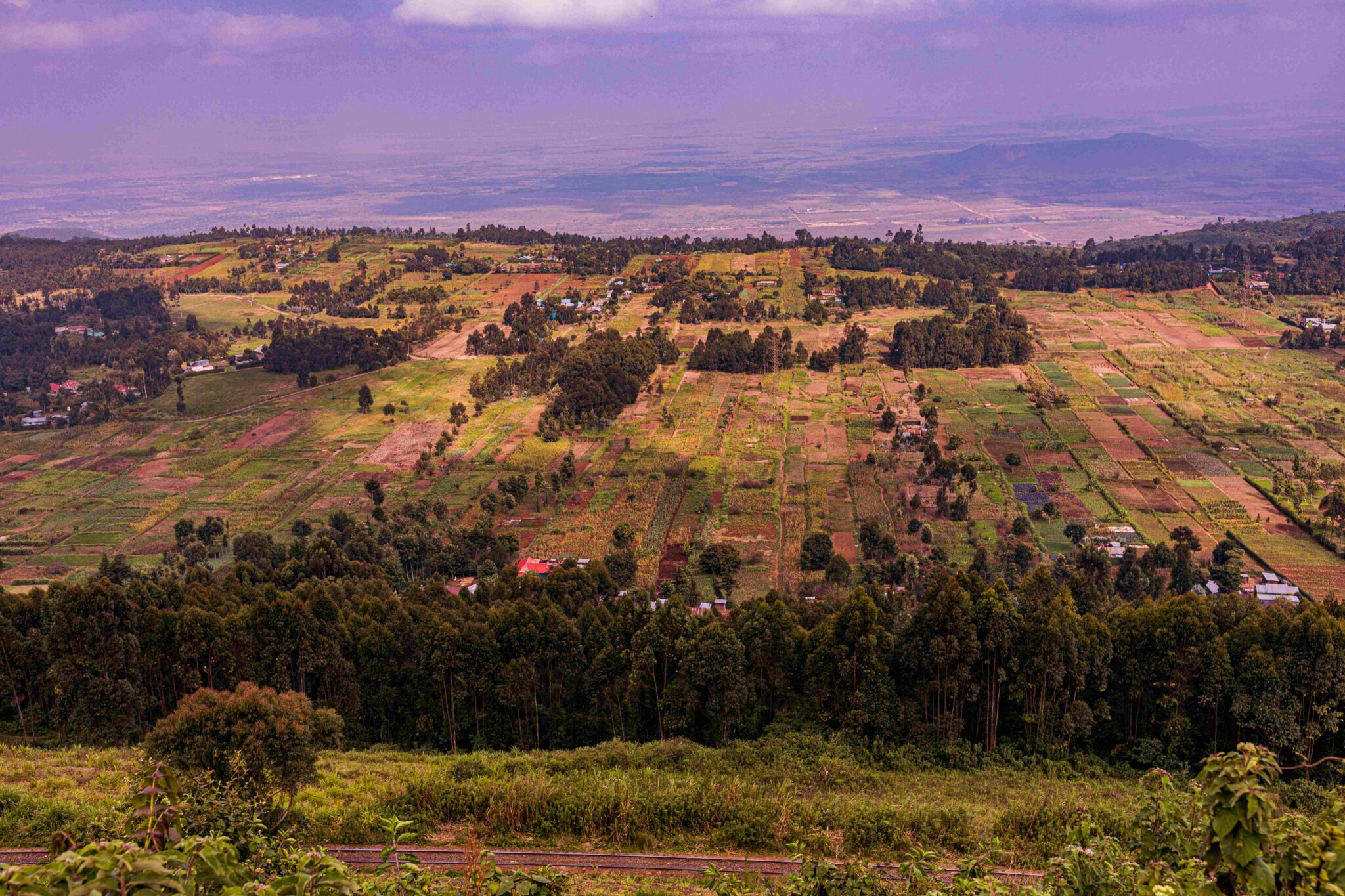 Legacy of Greatness: Exploring the Historical Power of the Kitara Empire